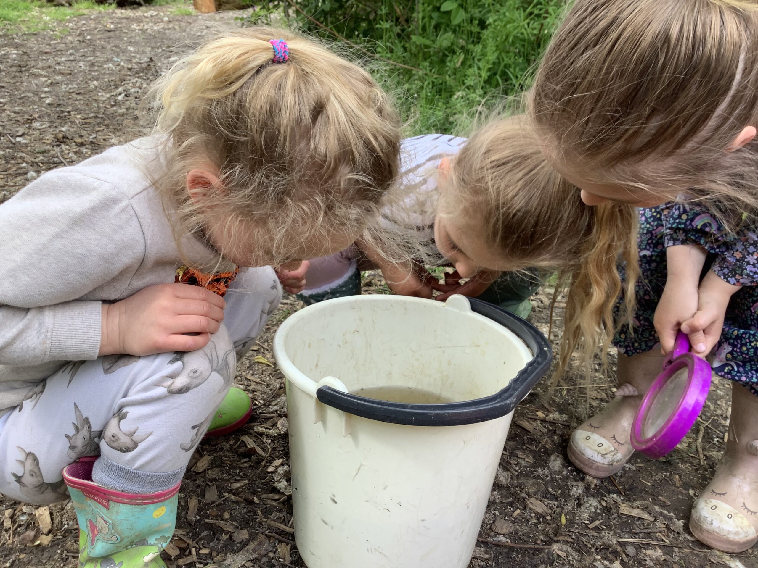 Outdoor Learning - Reception - Woodmancote School